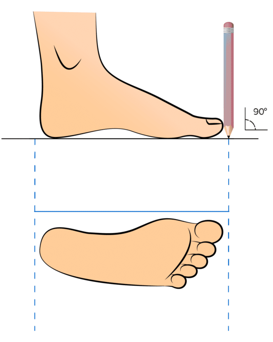 Size Matters: How to Measure Your Feet for the Perfect Sneaker Fit ...